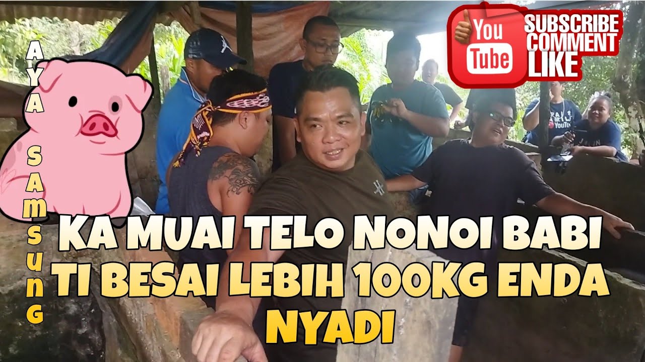 MENGABIRI BABI BESAR 100KG YANG GAGAL,ABUN BILUN DAN TEAM - YouTube