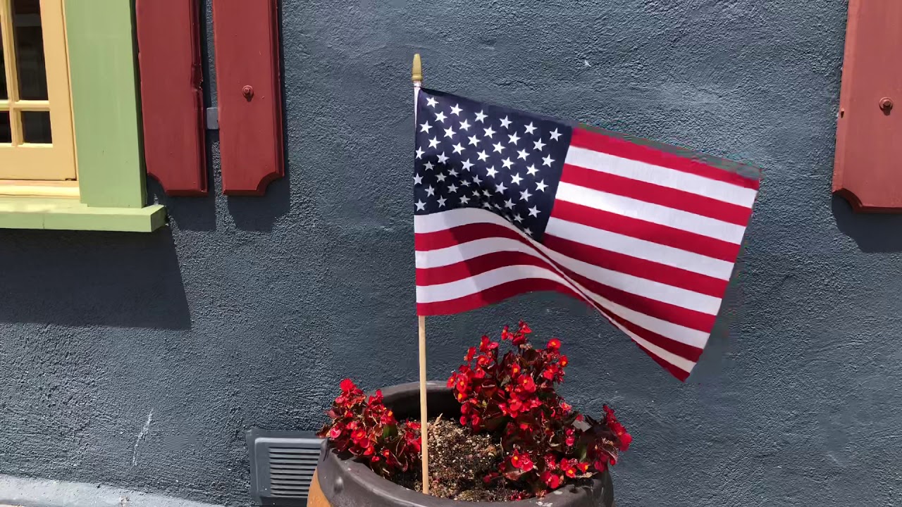 Flag in a plant - YouTube