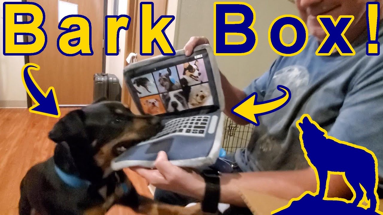 Jester UNBOXES Bark Box! | September 2021 | - YouTube