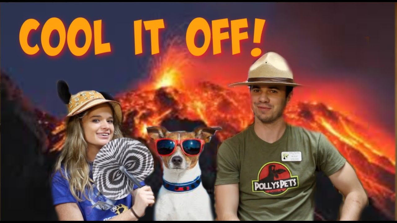 COOL IT OFF Y'ALL - YouTube