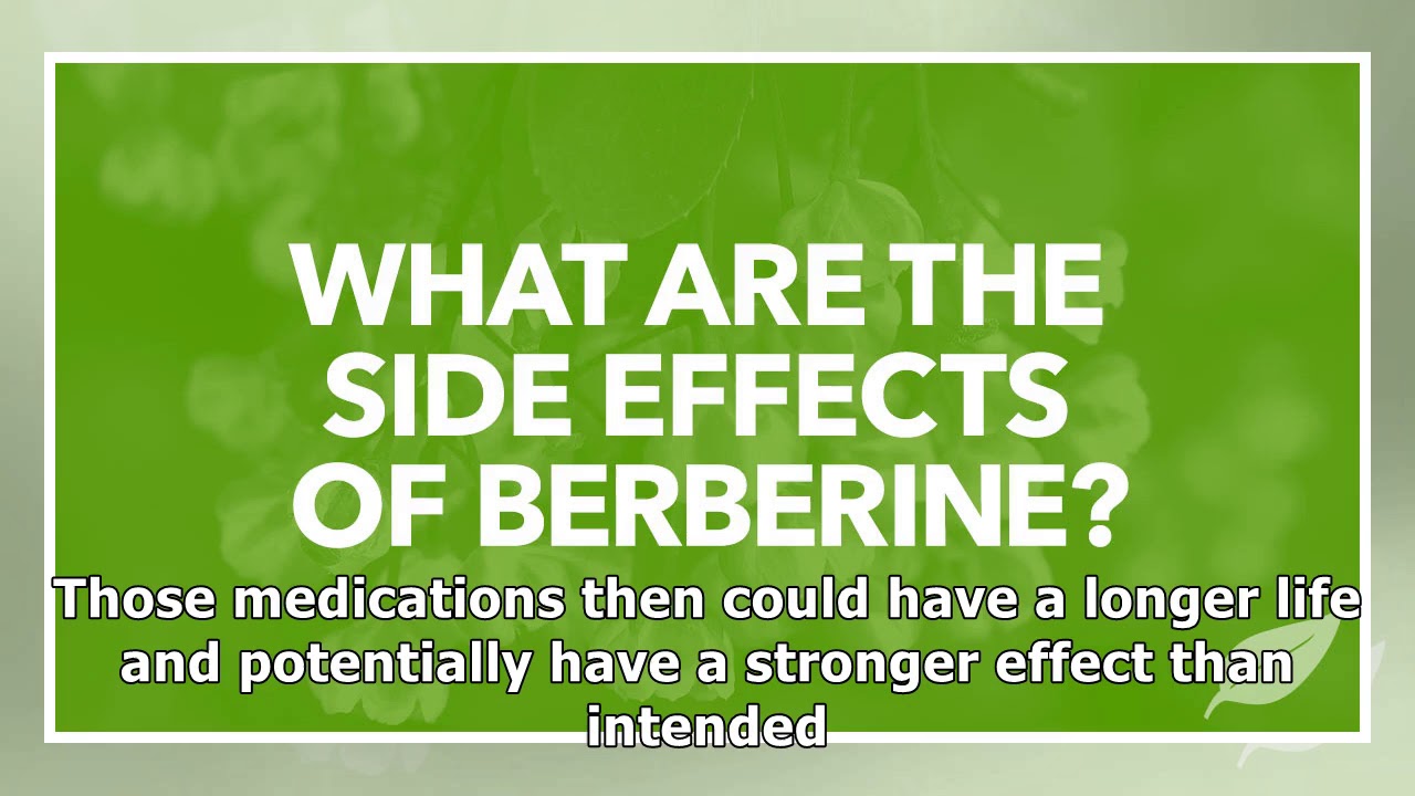 Are There Side Effects of Berberine Supplements? - YouTube