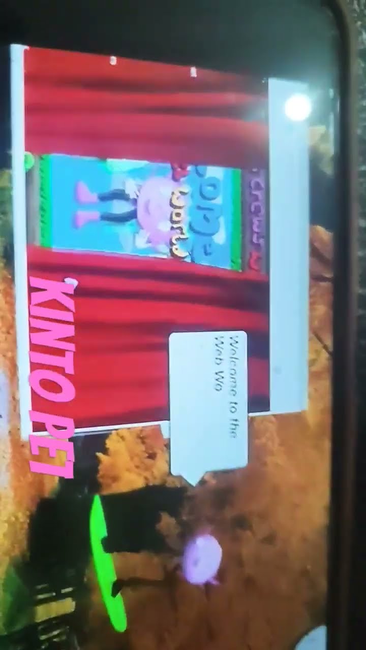 kinto pet💕 - YouTube