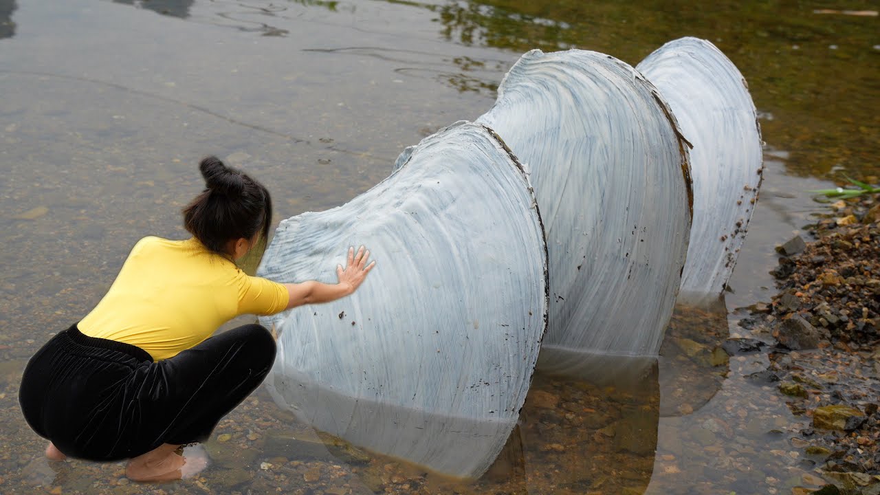 ️😱 The treasure of clams! White mutated giant clam, containing ...
