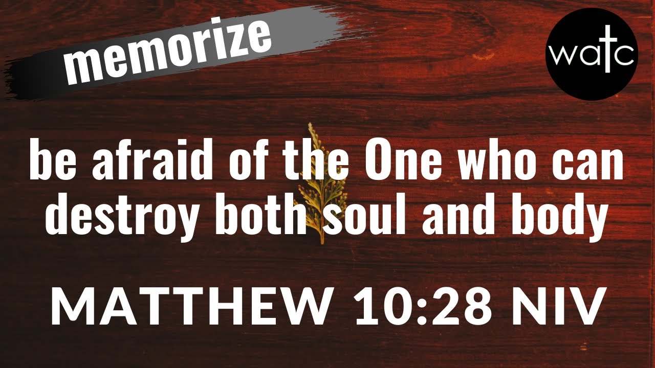 Matthew 10:28 NIV (soul, God): Read, recite, and memorize Bible verses ...