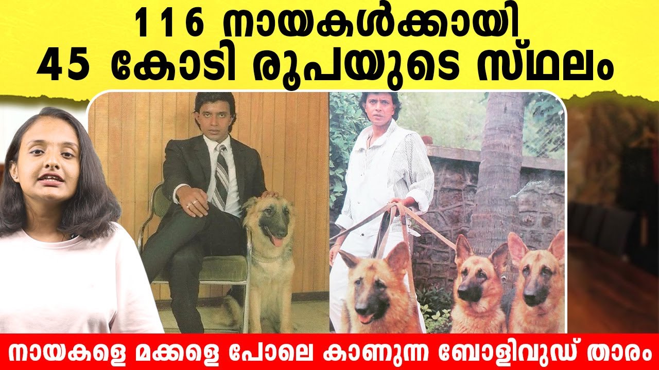 നടൻ്റെ ജീവിതം കണ്ടാൽ നമ്മുടെ ബോധം പോവും | The biggest dog lover Mithun ...