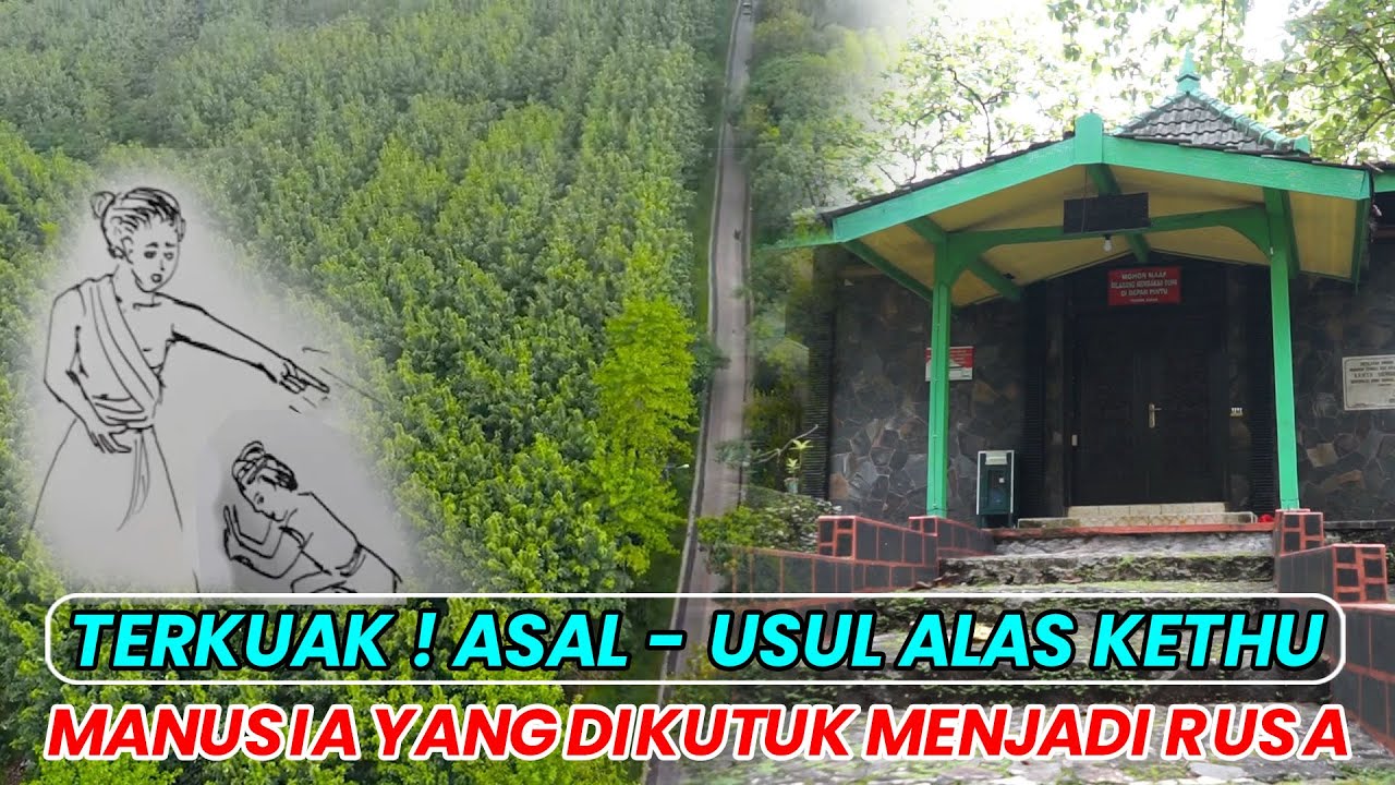 ASAL USUL ALAS KETHU WONOGIRI: HUTAN YANG DIJAGA SEEKOR RUSA - YouTube