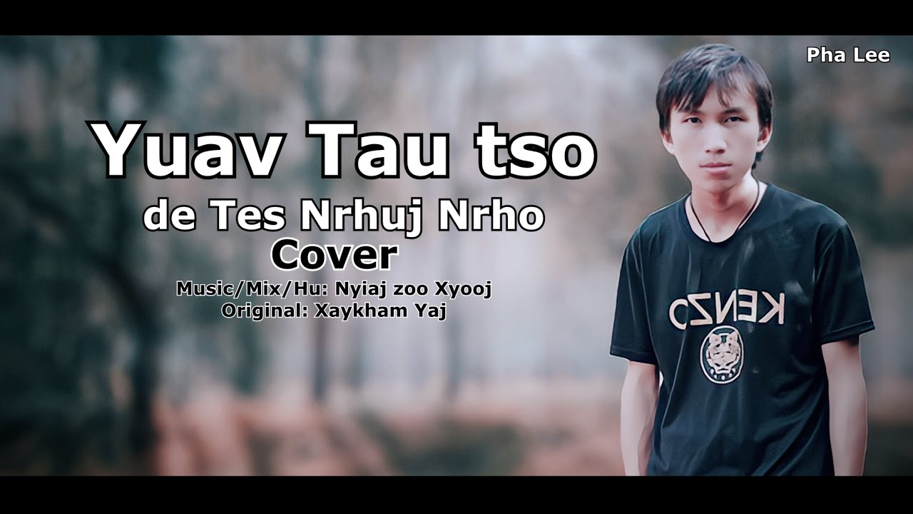 Nyiaj Zoo Xyooj- Yuav Tau Tso De Tes Nrhuj Nrho ( Cover 2023 ) - YouTube