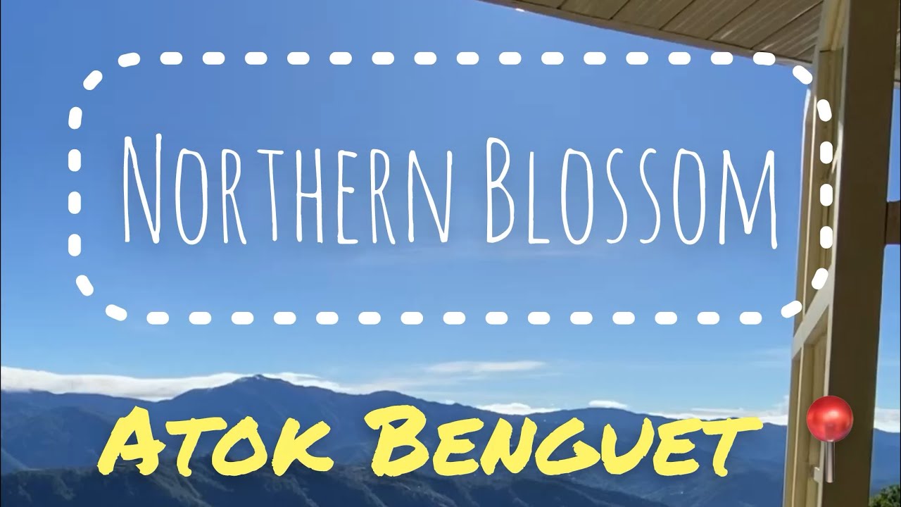 DIY Atok Benguet Northern Blossom | Affordable Homestay - YouTube
