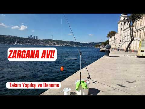 ​Spinle Zargana Avı | Kuleli Sahili - Zargana Takımı Nasıl Yapılır? Balık Çobanı
