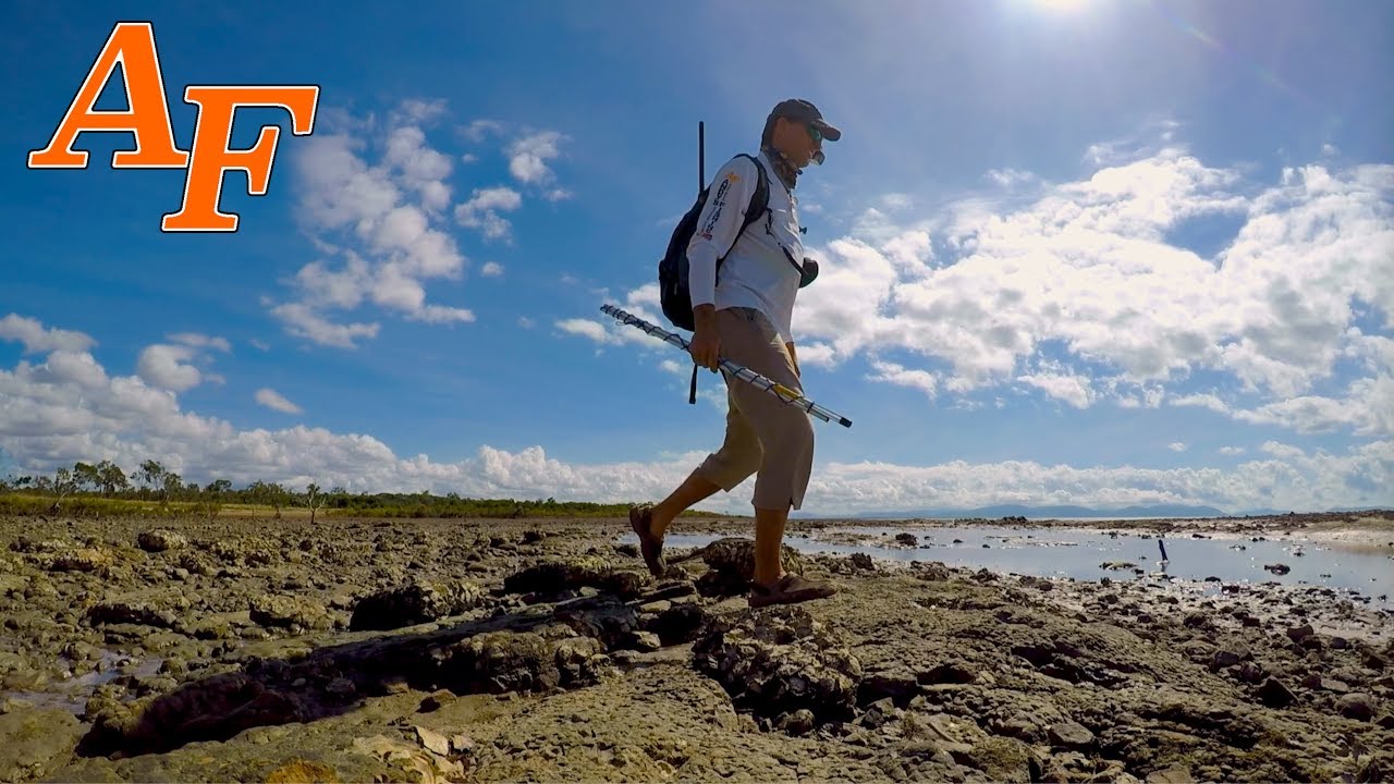 Would you eat something no one else ever has? Coast Seafood Forage EP ...