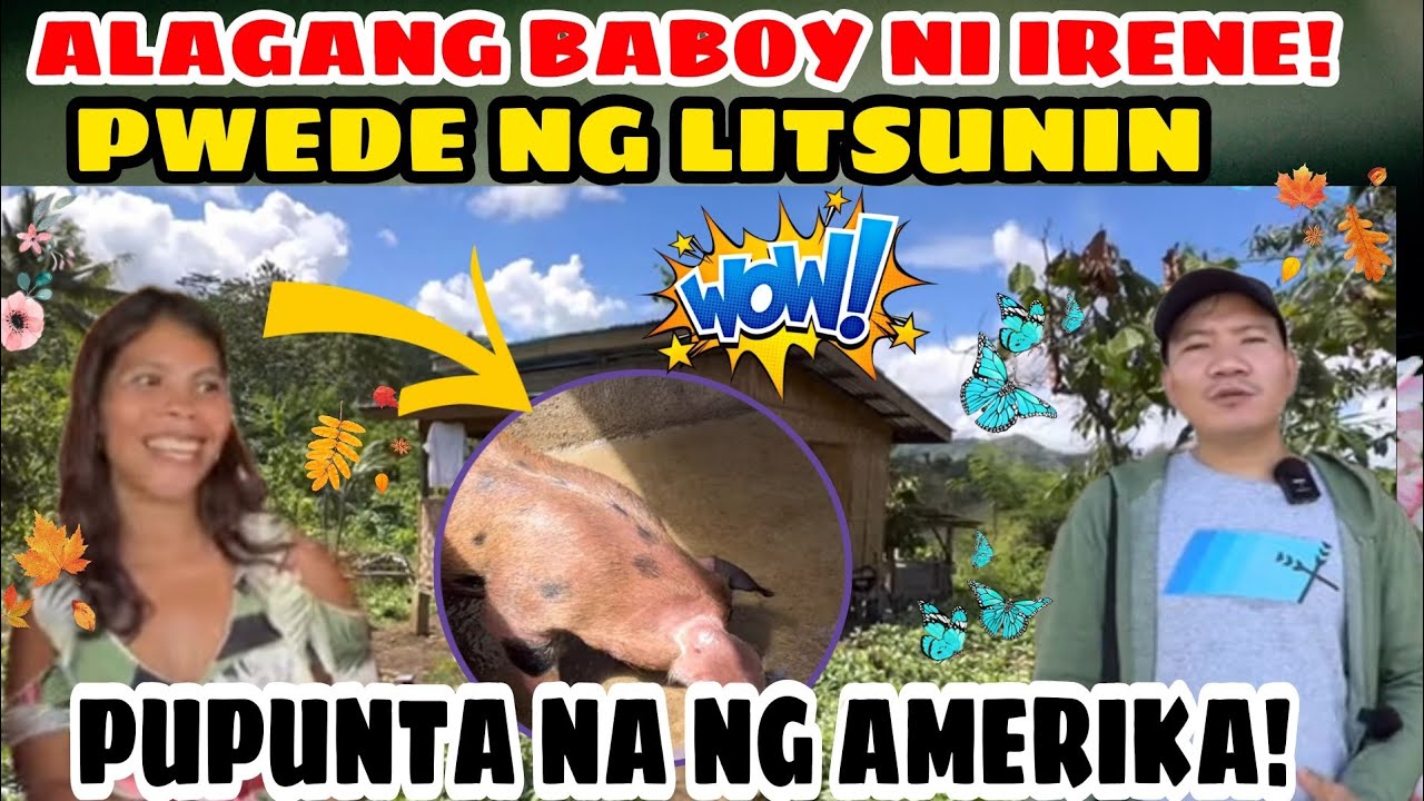 PAANO BA MAG ALAGA NG BABOY SI IRENE?PWEDE NG LITSUNIN | IRENE NAKA ...