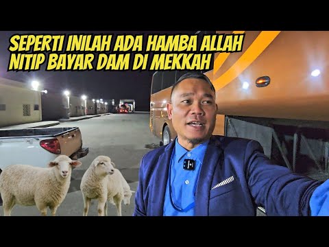 SEPERTI INILAH ADA HAMBA ALLAH NITIP BAYAR DAM DI MEKKAH!!! - YouTube