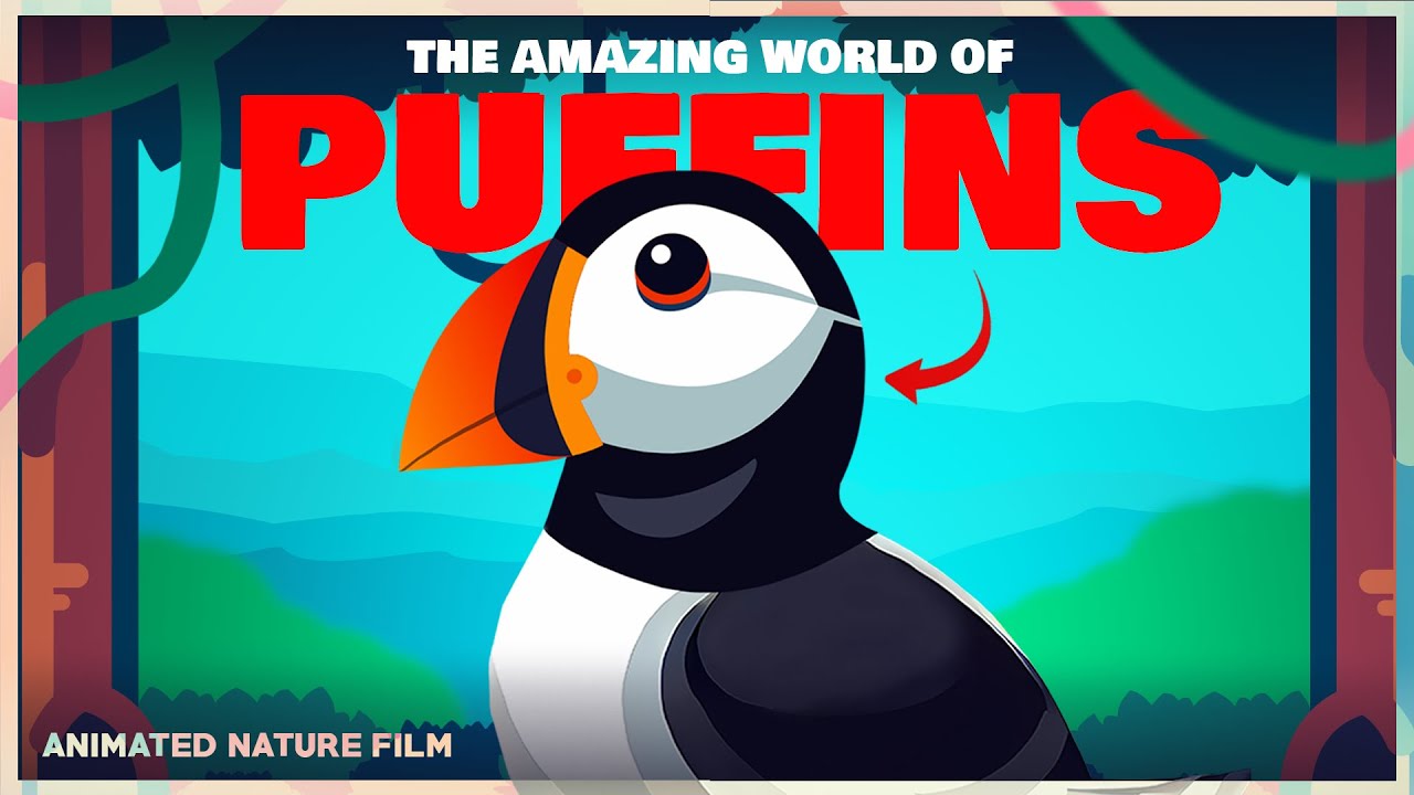 The Magical Lives of Puffins: A Dive into Their Amazing Worlds - YouTube