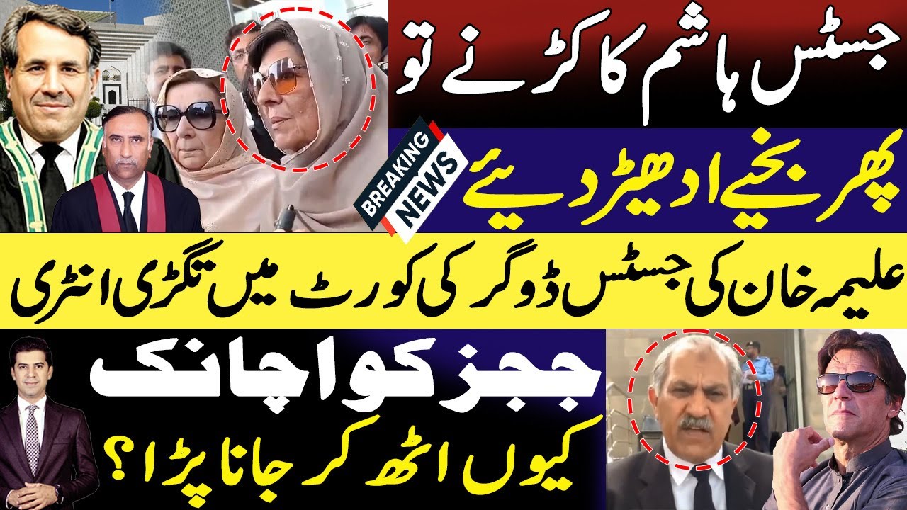 Justice Hashim Kakar Supreme court proceedings | Aleema Khan entered ...