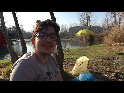 ANİ GELİŞEN AVIMIZ  SAKARYA IRMAĞINDA KEFAL-KEPENEZ- AVI River chub hunt