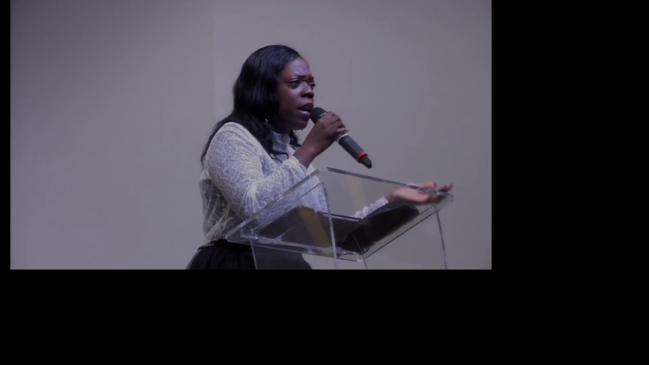 WNTCG STREAM Live Stream - YouTube