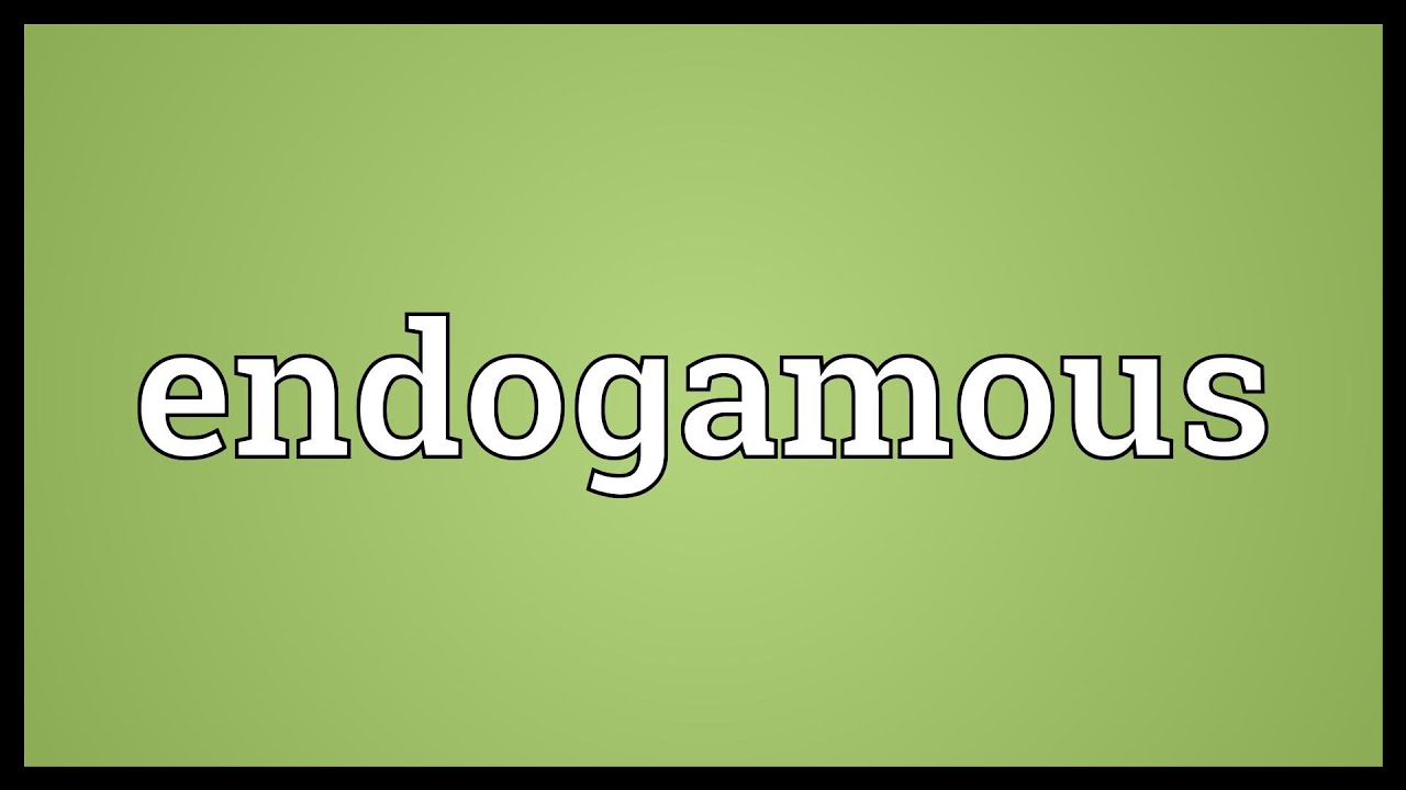 Endogamous Meaning - YouTube