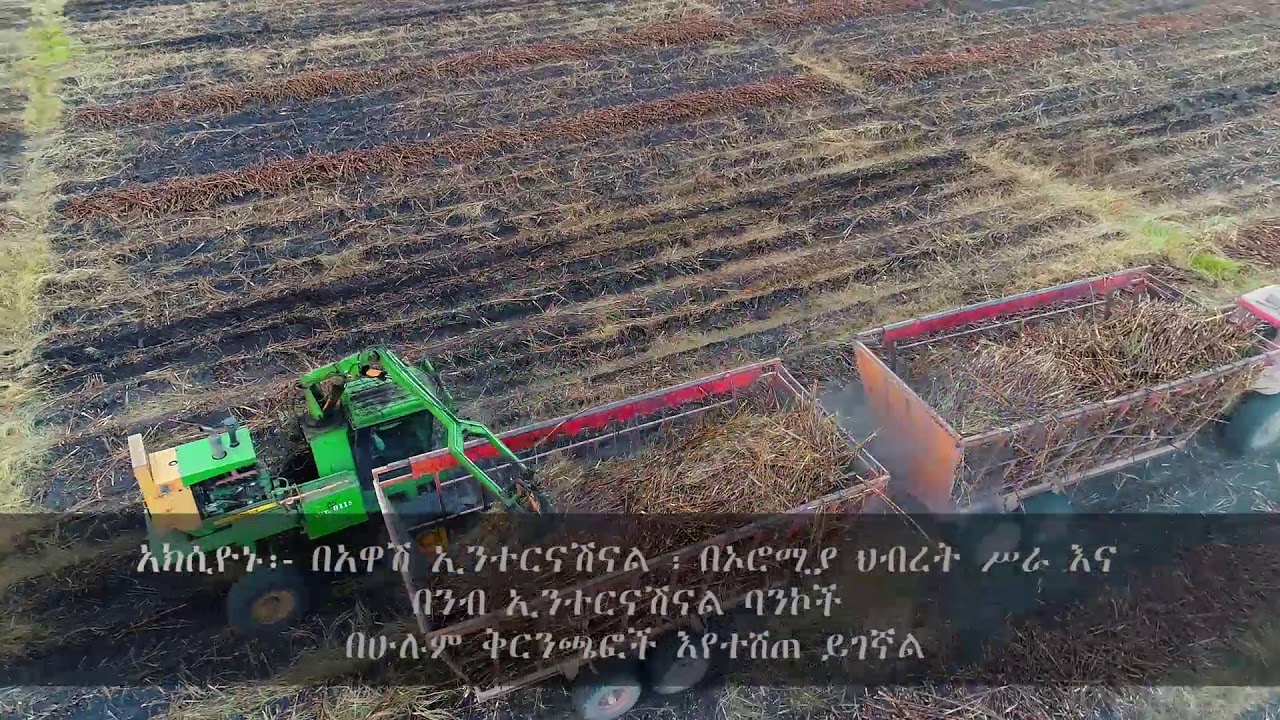 ETHIO SUGAR promo - YouTube