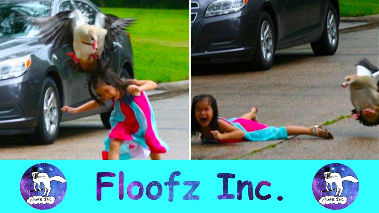 The Ultimate Geese Attack Compilation! - YouTube