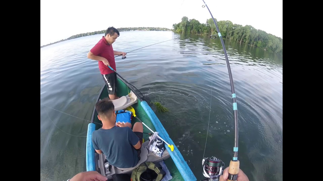 Back yard bass fishing - YouTube