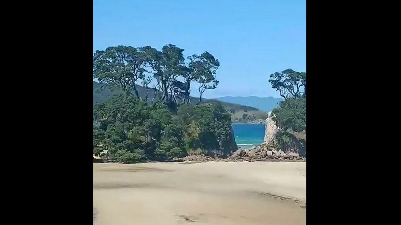 Aotea Great Barrier Island senes, October 2022 - YouTube