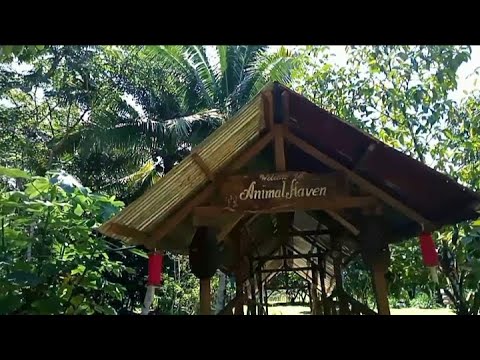 GREEN HAVEN ADVENTURE FARM PART 2 #vacation2022 - YouTube