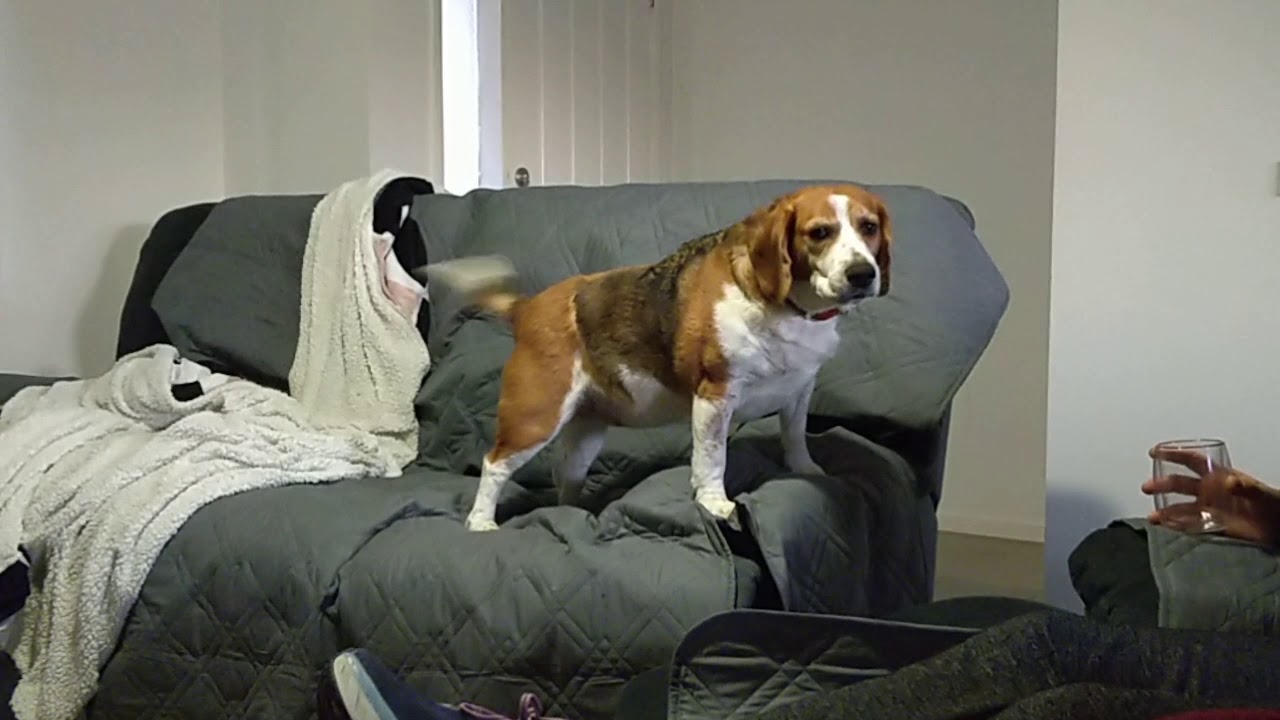 Matilda Dinner Time - YouTube