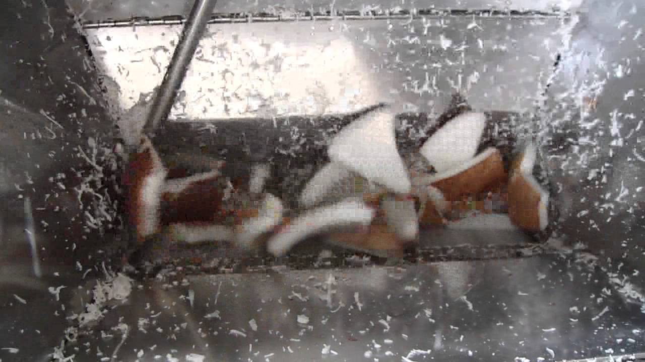 SAKAYA Coconut Grinding Machine 12" - YouTube