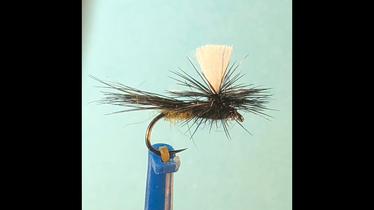 Tabanas Classique - YouTube