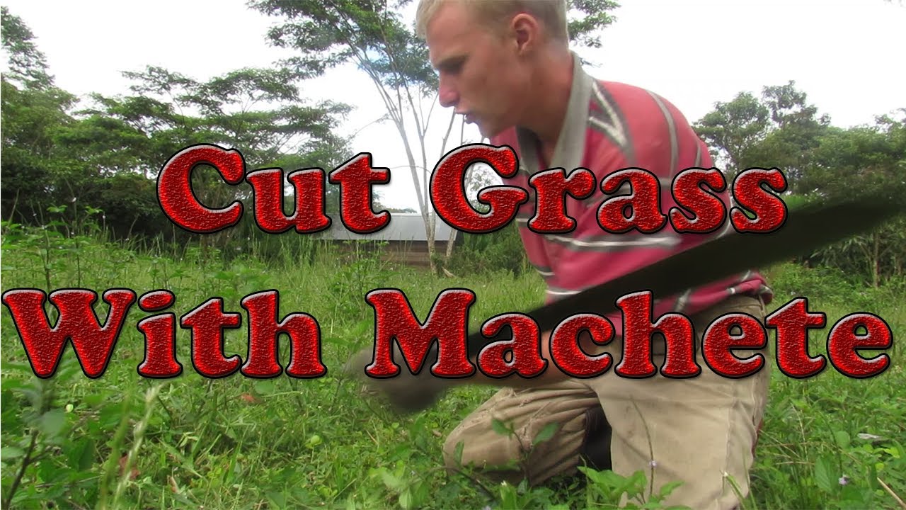 Cut Grass With Machete (Very Easily) - YouTube