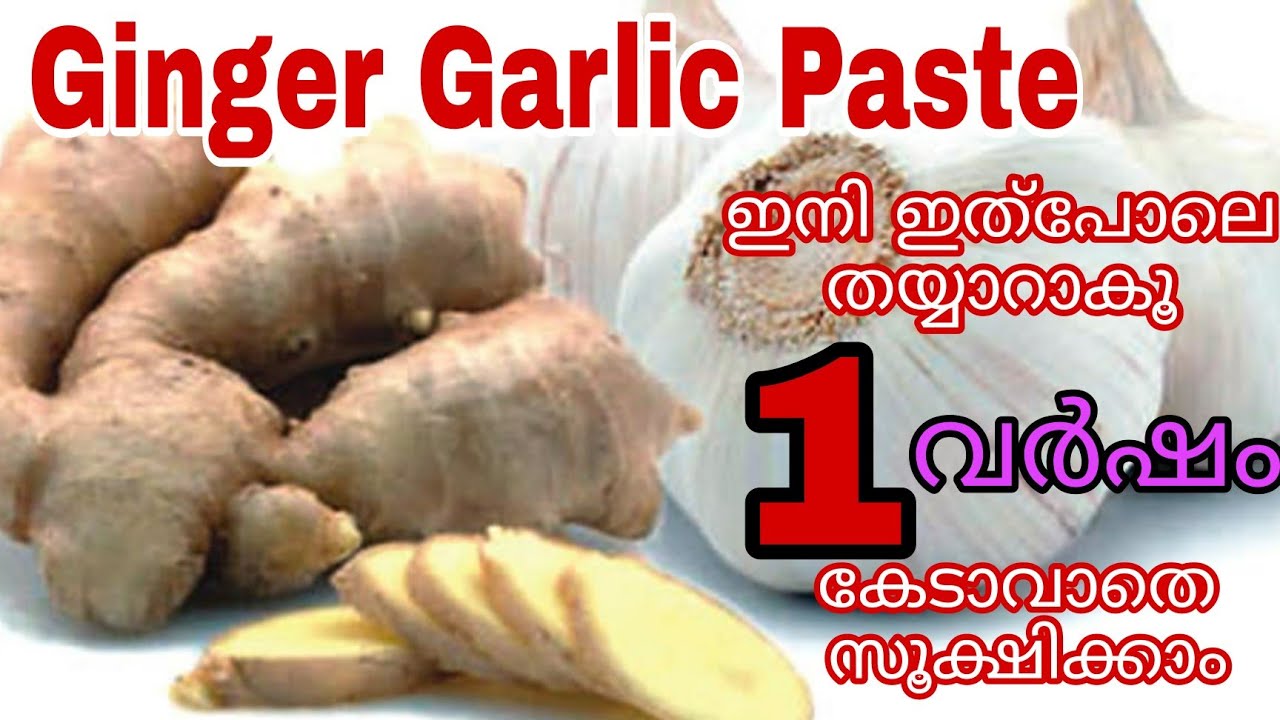 Ginger Garlic Paste For Storage Home Made Ginger Garlic Paste ginger ginger-garlic-paste-for-storage-home-made-ginger-garlic-paste-ginger