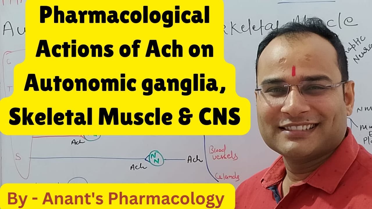 Pharmacological Actions of Ach on Autonomic ganglia, Skeletal Muscle ...