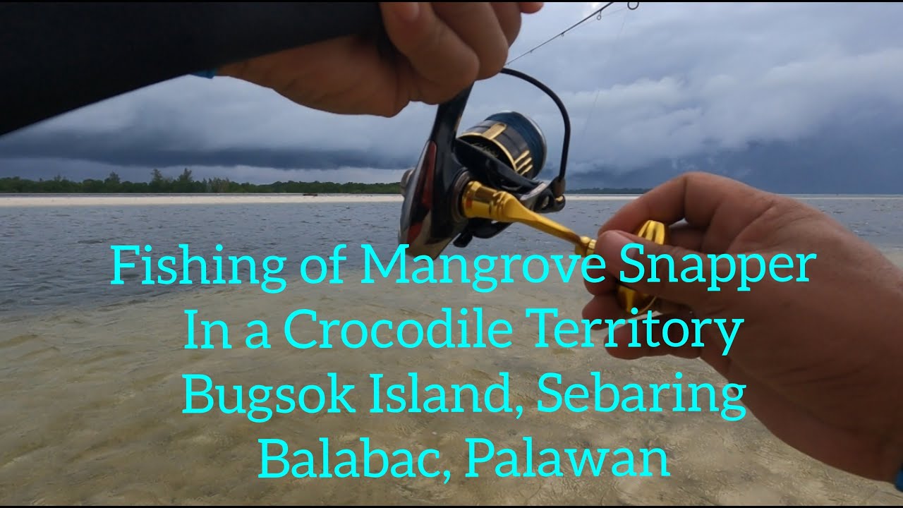 FISHING IN CROCODILE TERRITORY | Estuary of Bugsok Is. | Philippines ...