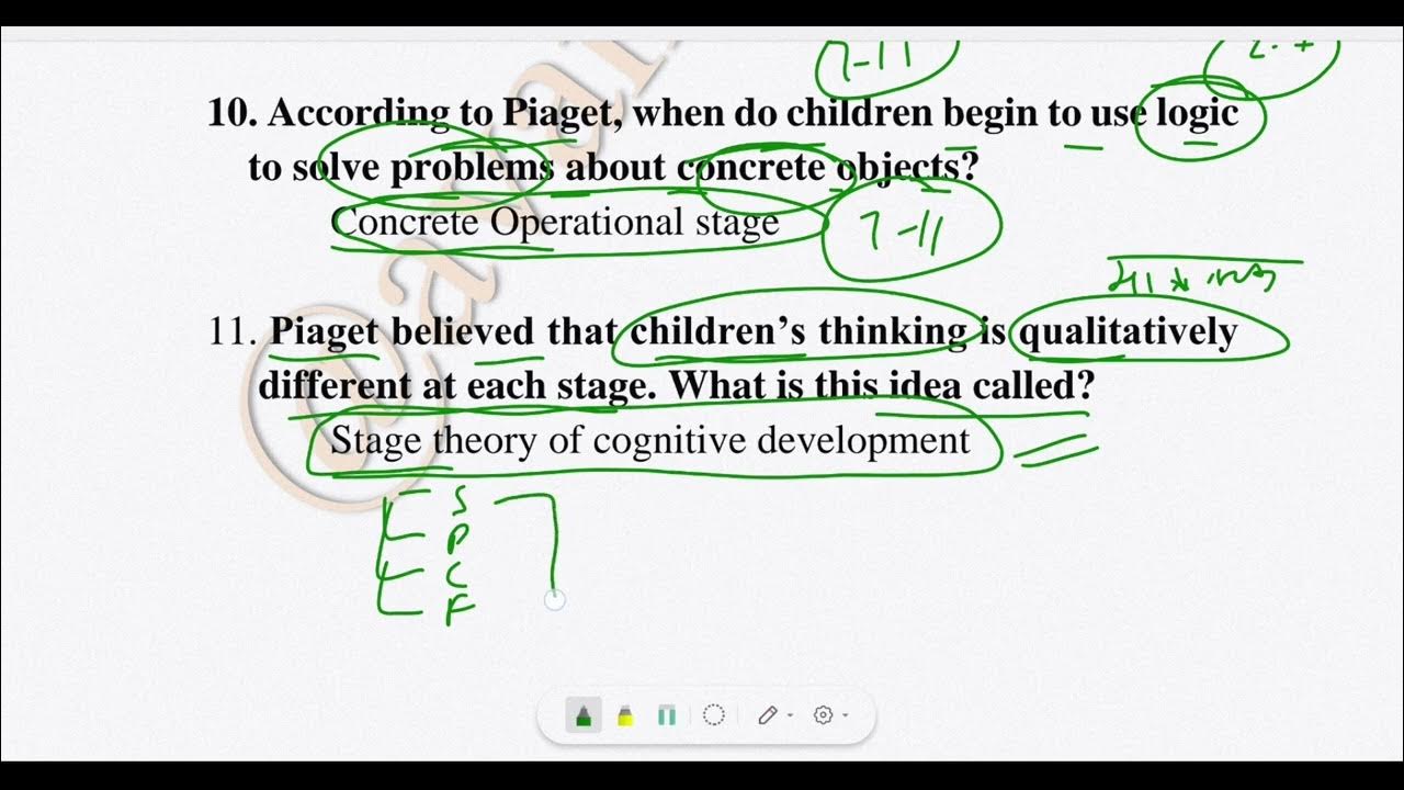 Jean Piaget Detailed Explanation | Practice Question and Answer| CTET ...