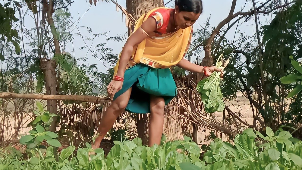 Have to pluck radish plant and make vegetable at home - YouTube
