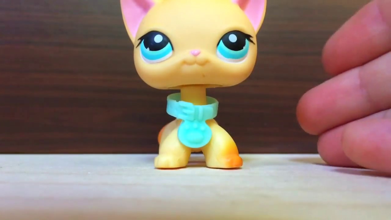 I Finally Got Her! LPS #339 Review - YouTube