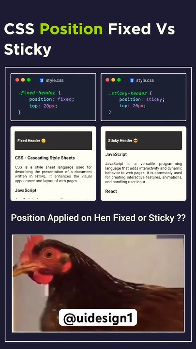 Css Position Fixed Vs Sticky Effects Vscode Viral Shorts Youtube