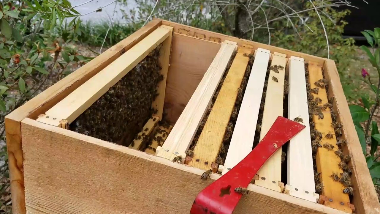 Adding Super and Checkerboarding 3-31-18 - YouTube