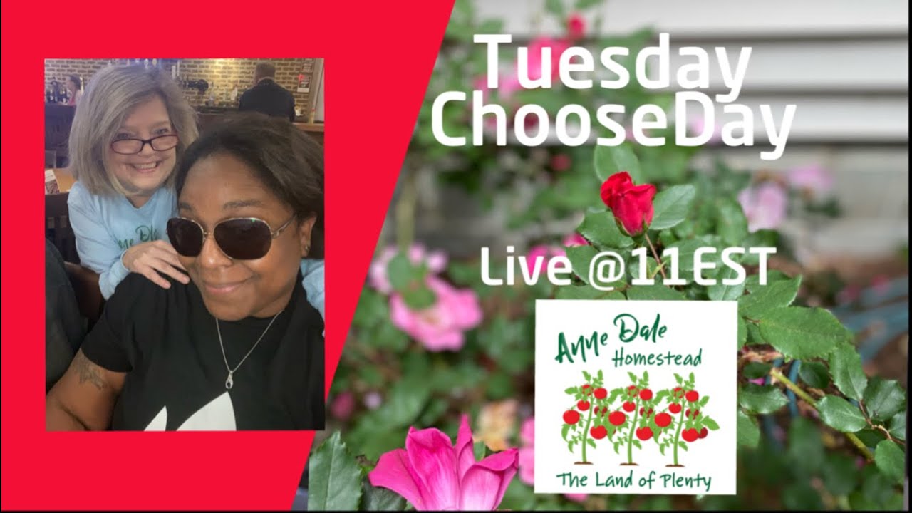 Tuesday ChooseDay #standup - YouTube