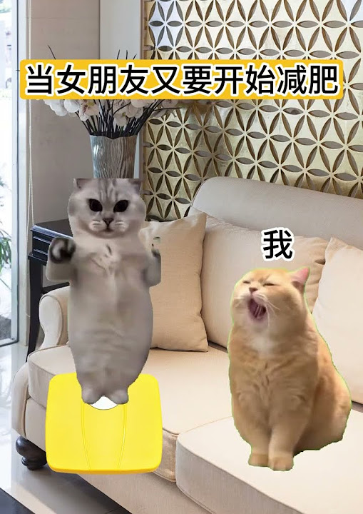 1周减7次,1次减1天🤪答应我,下次不许再减了 ️ 甜甜的恋爱话题 情侣日常话题 减肥一天吃什么话题 对于女朋友要减肥这件事话题 男朋友的日常话题 運 Youtube