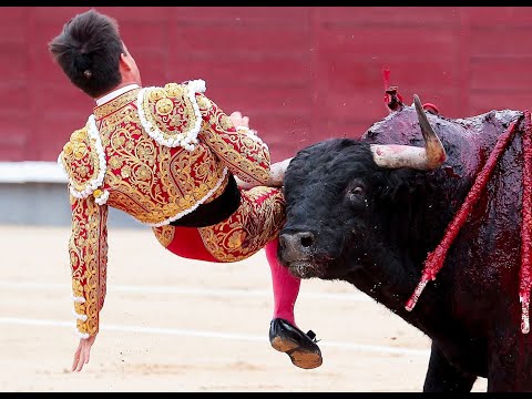 Dangerous Bull Fight Accidents Compilation -  Lucky and Funny People Fail Video Clips