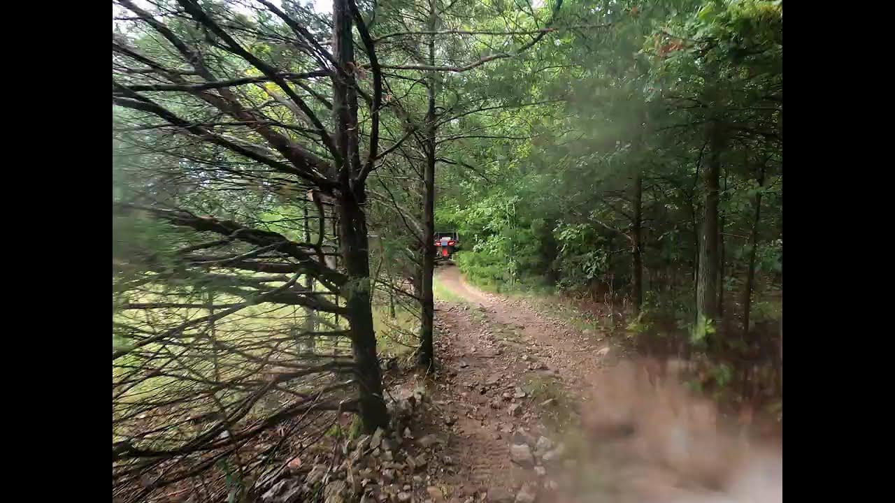Cloud 9 Ranch Trail Riding (20355) - YouTube