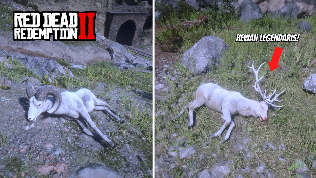 AKU BERBURU 5 HEWAN LEGENDARIS DI RDR2 #3 - YouTube