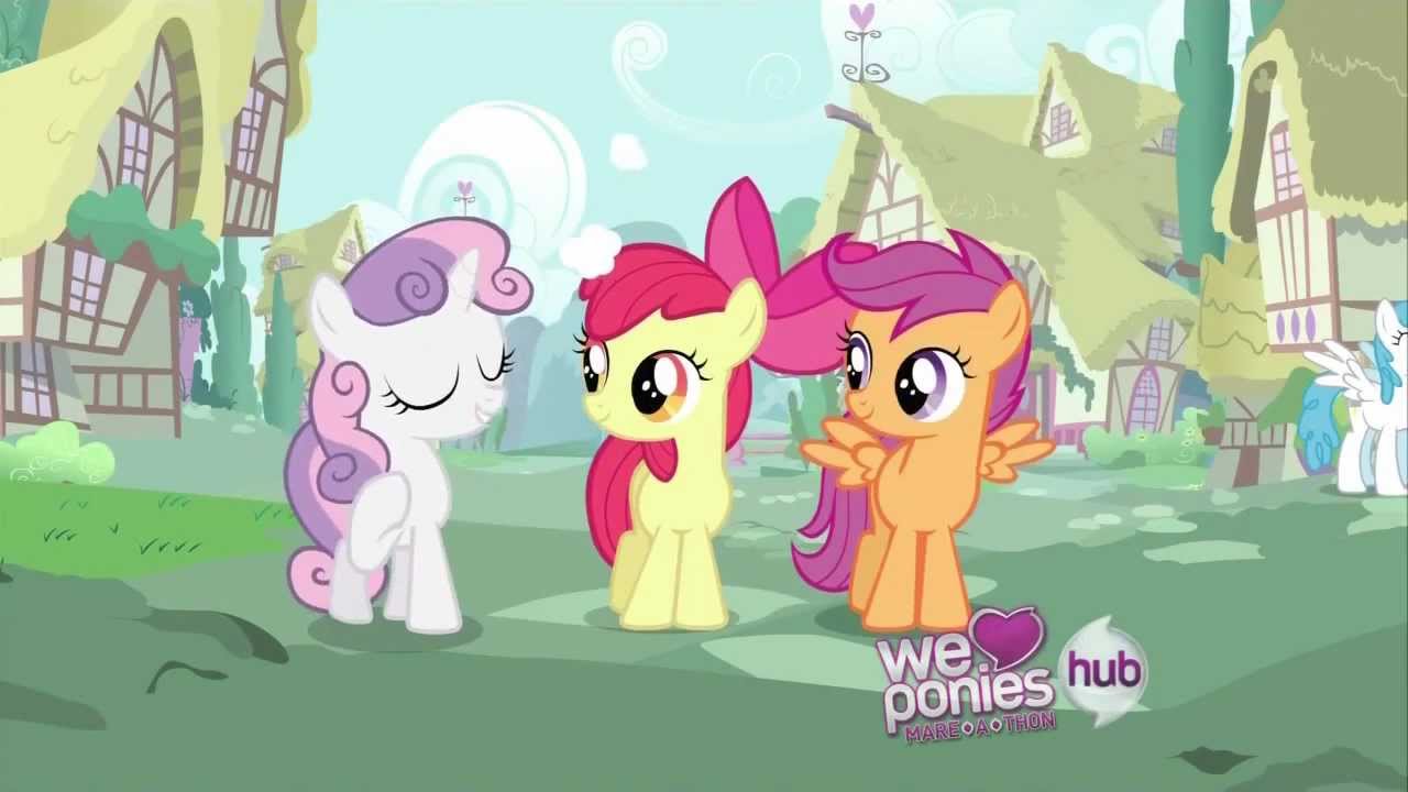 My Little Pony - The Perfect Stallion - Dub PL HD - YouTube