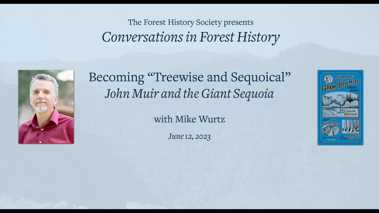 Mike Wurtz - Becoming “Treewise and Sequoical”: John Muir and the Giant ...