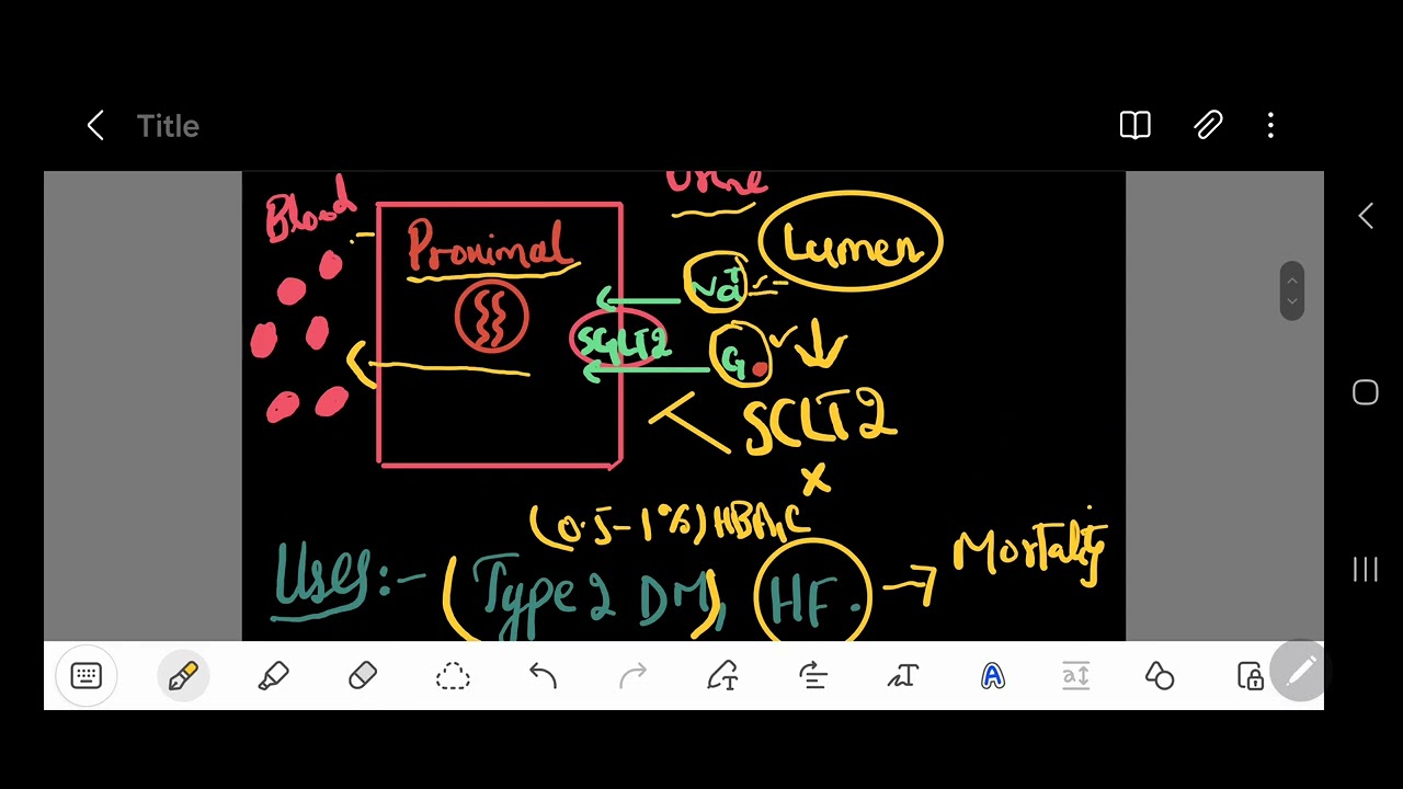 SGLT2 Inhibitors | SGLT2 inhibitors Mechanism Of Action And Side ...