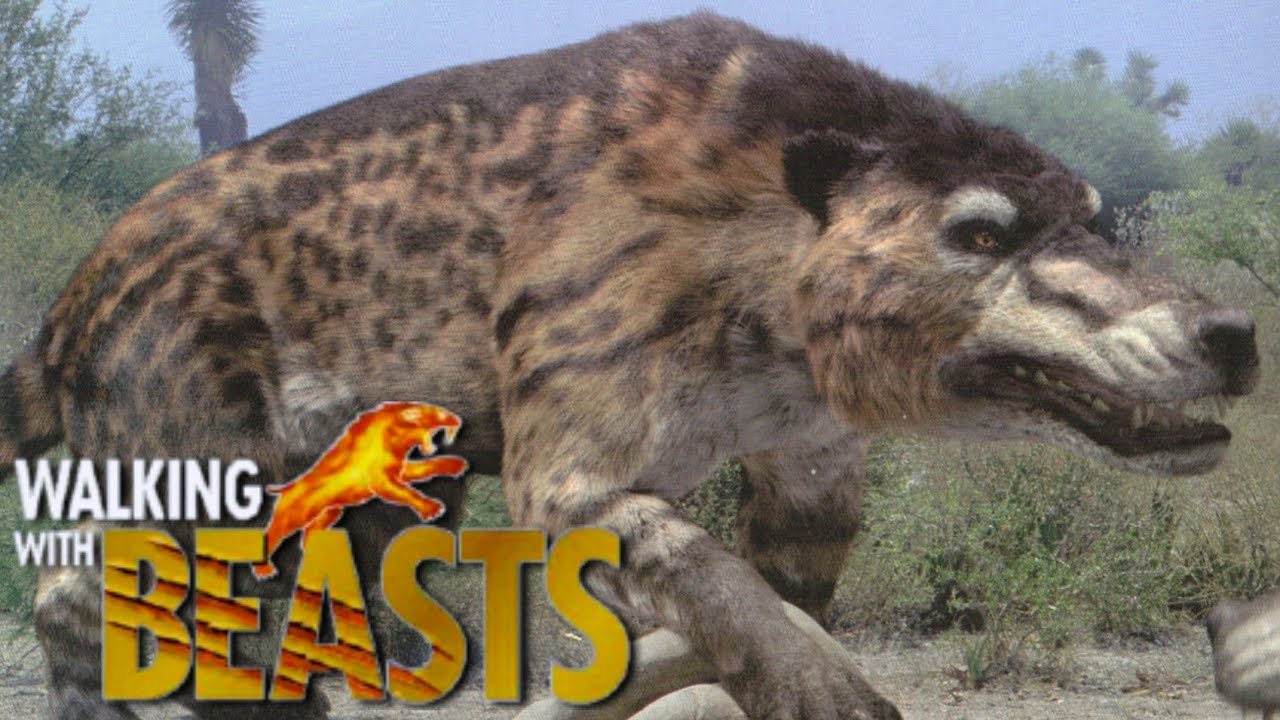 Walking With Beasts [2001] - Andrewsarchus Screen Time - YouTube