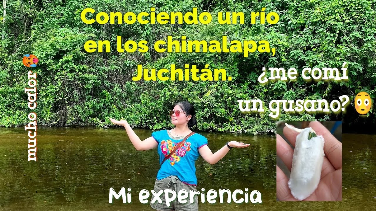 Los chimalapa, región del istmo de Tehuantepec, Oaxaca, México. - YouTube