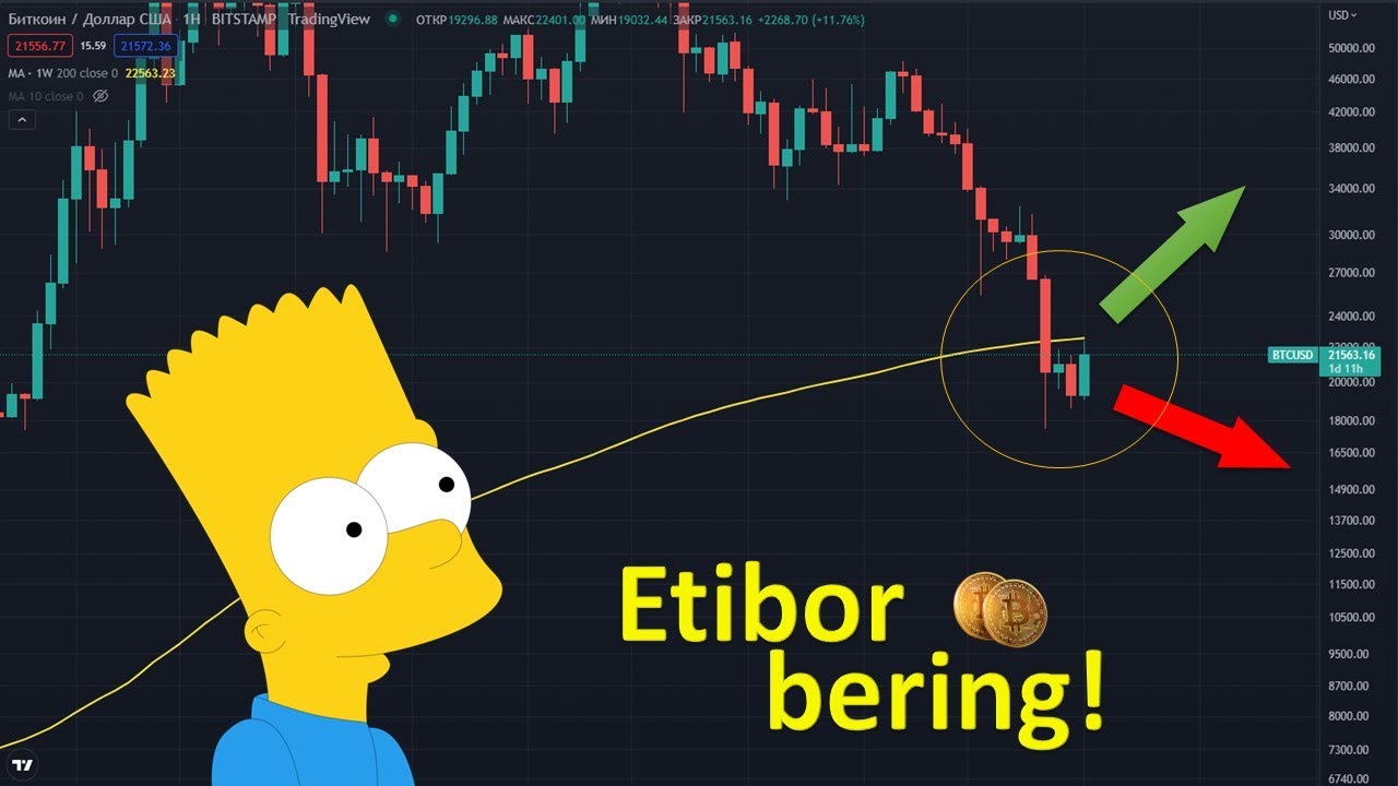 Bitcoin narxi | Bunga etibor berishimiz kerak | bitcoin $12k gacha ...