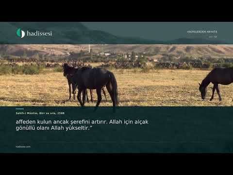 Merhamet ve yumuşaklık: sertleşmeden güçlü kalmak | Hadis Sesi